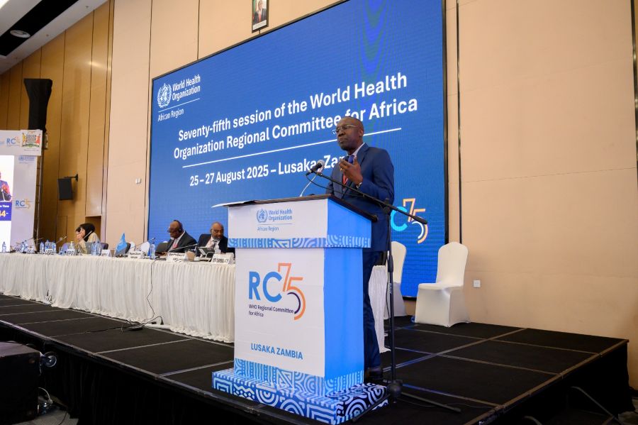 African health ministers endorse framework to accelerate progress on ...